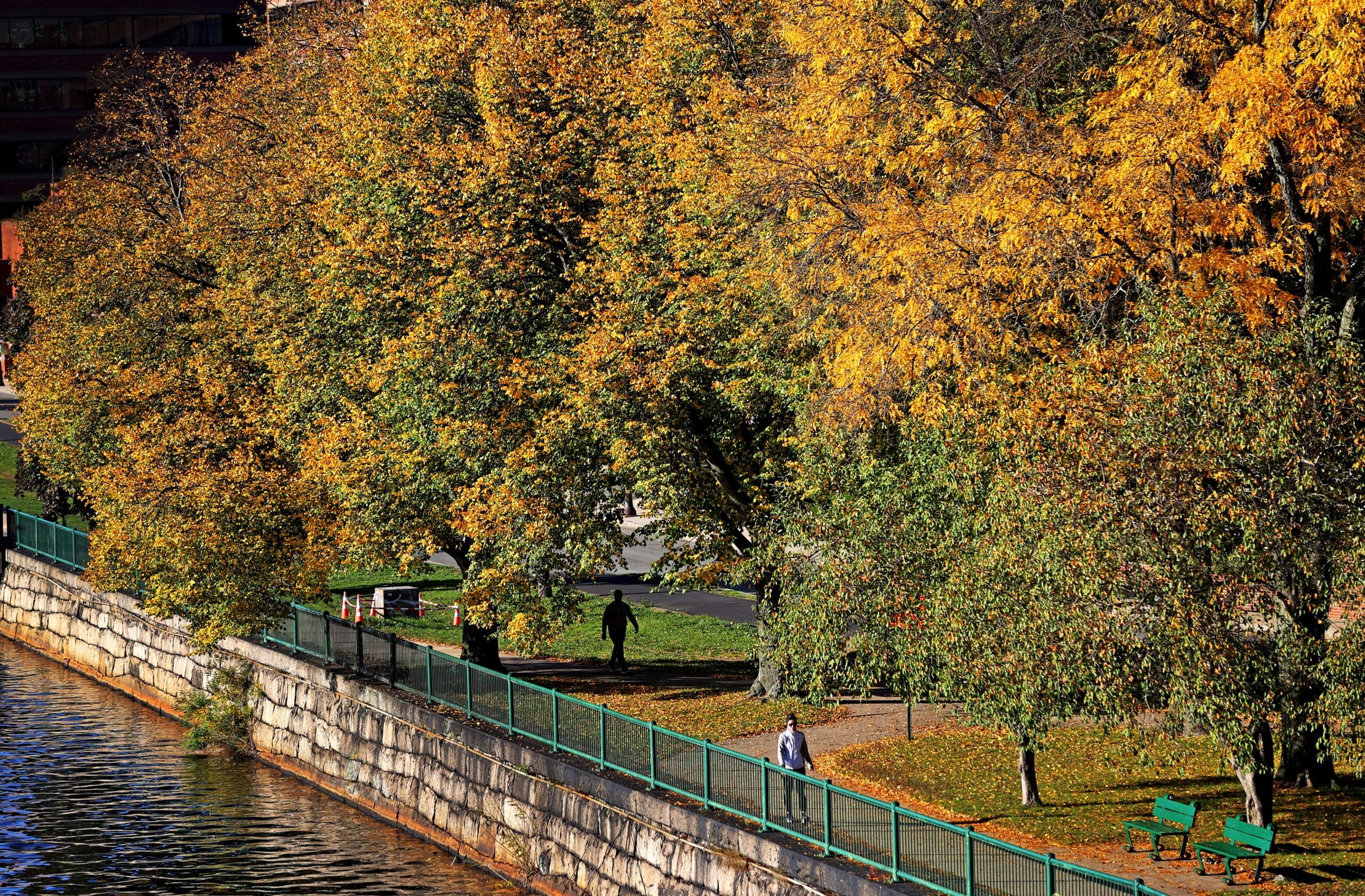15 captivating photos from the Head of the Charles Regatta
