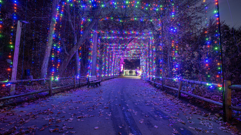 See the lights at the Roger Williams Holiday Light Spectacular