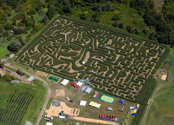 What does it take to build the Davis Mega Maze?