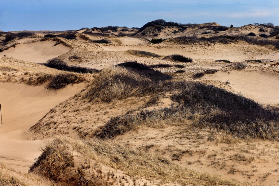 She was found brutally killed on a Provincetown beach. Now, 48 years later, officials have ...