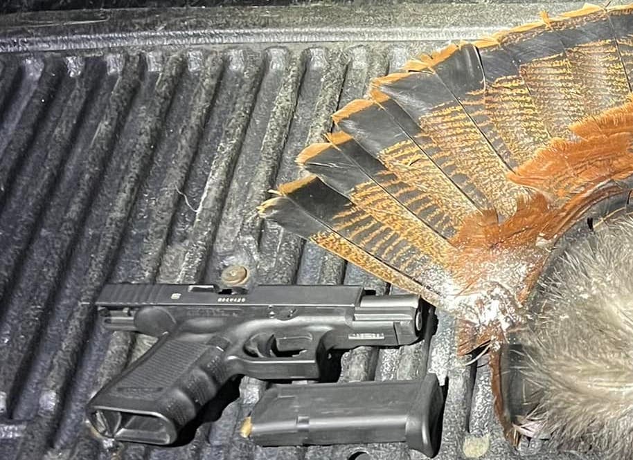 NH man charged after allegedly shooting turkey from his car window with ...