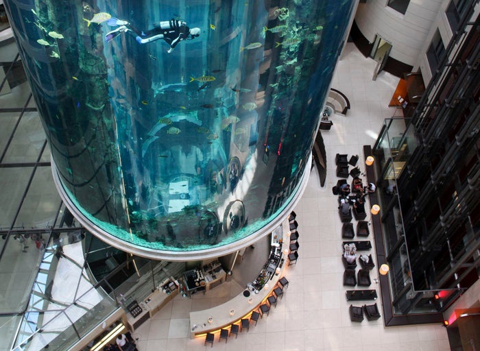 AquaDom photos: Huge Berlin aquarium bursts