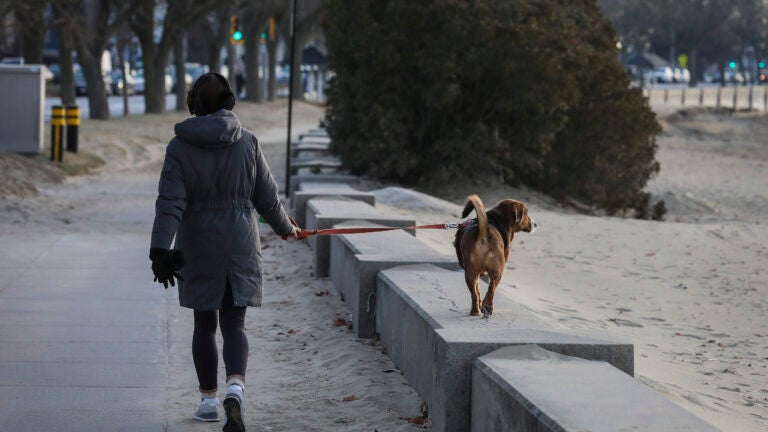 Boston weather: Here's what to expect from Wednesday's forecast