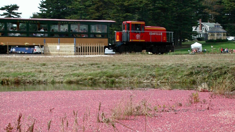 'I just think it's time': Edaville Railroad Family Theme Park is up for ...