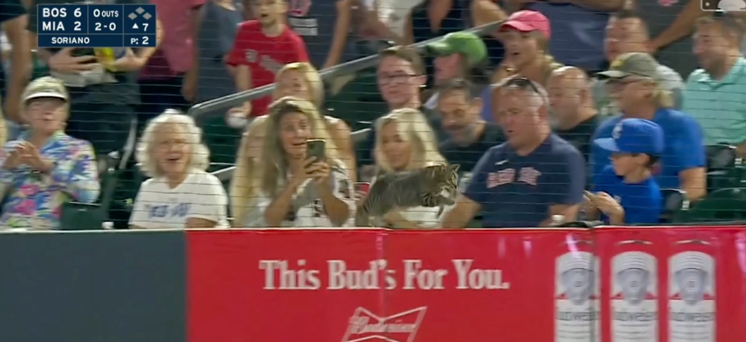 'Nap Room' is perk to keep Red Sox players perky