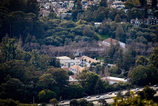 Students complain of culture shock as Northeastern University settles ...