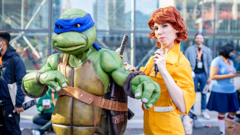 Northampton to use pandemic relief dollars for 'Teenage Mutant Ninja ...