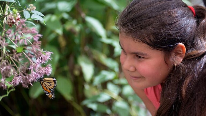 10 things to do in Boston with kids this spring