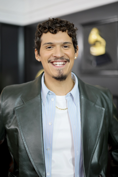 See what celebs wore on the Grammys red carpet