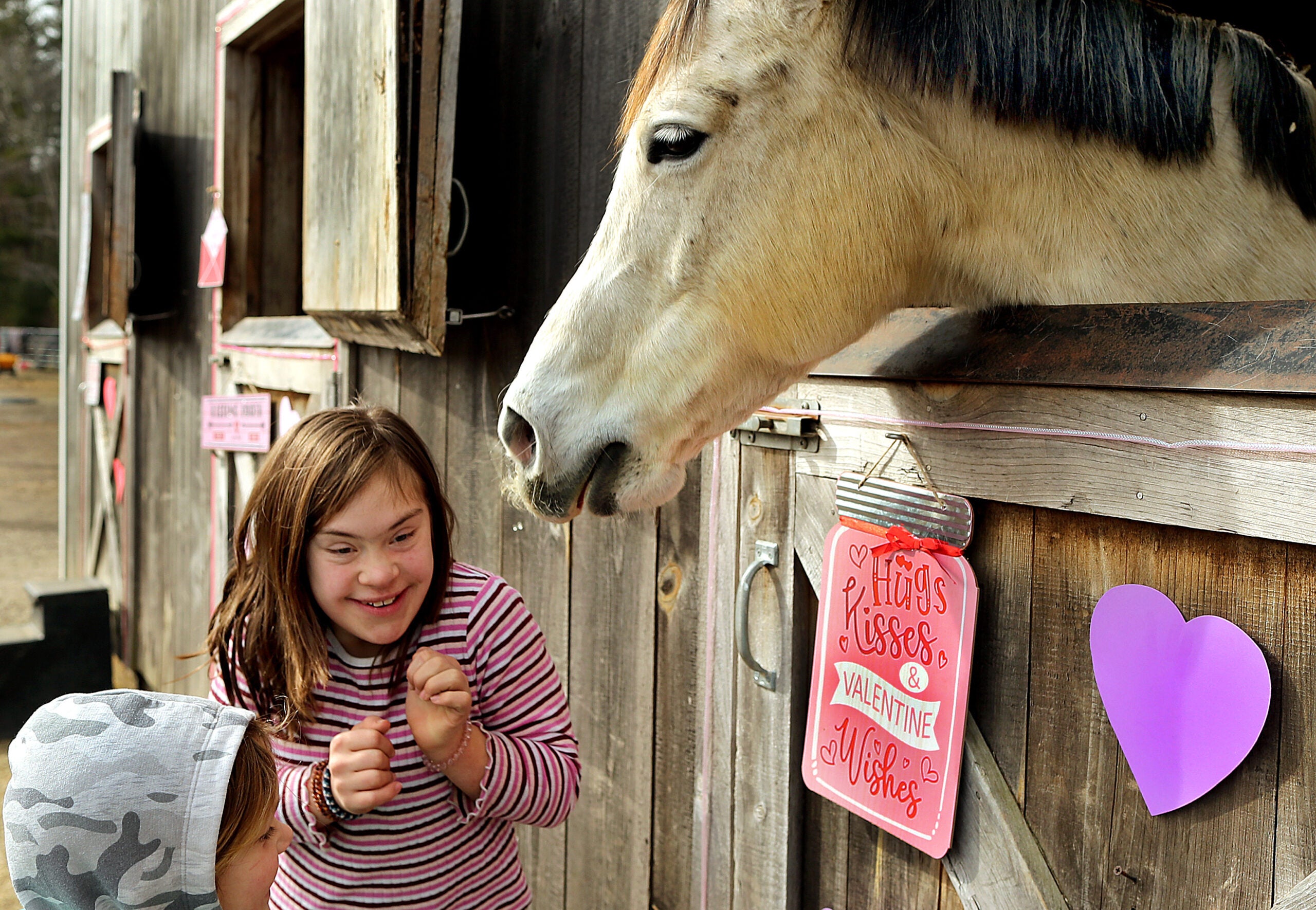 Valentine's Day: Children get to smooch rescued farm animals at Duxbury ...