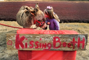 Valentine's Day: Children get to smooch rescued farm animals at Duxbury ...