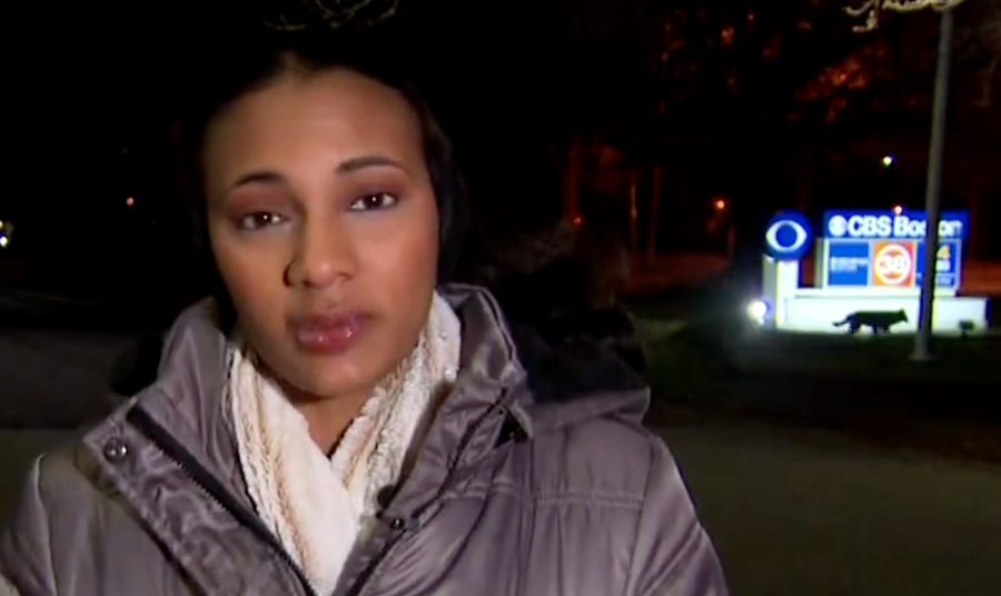 Longtime WCVB-TV reporter Jack Harper will retire