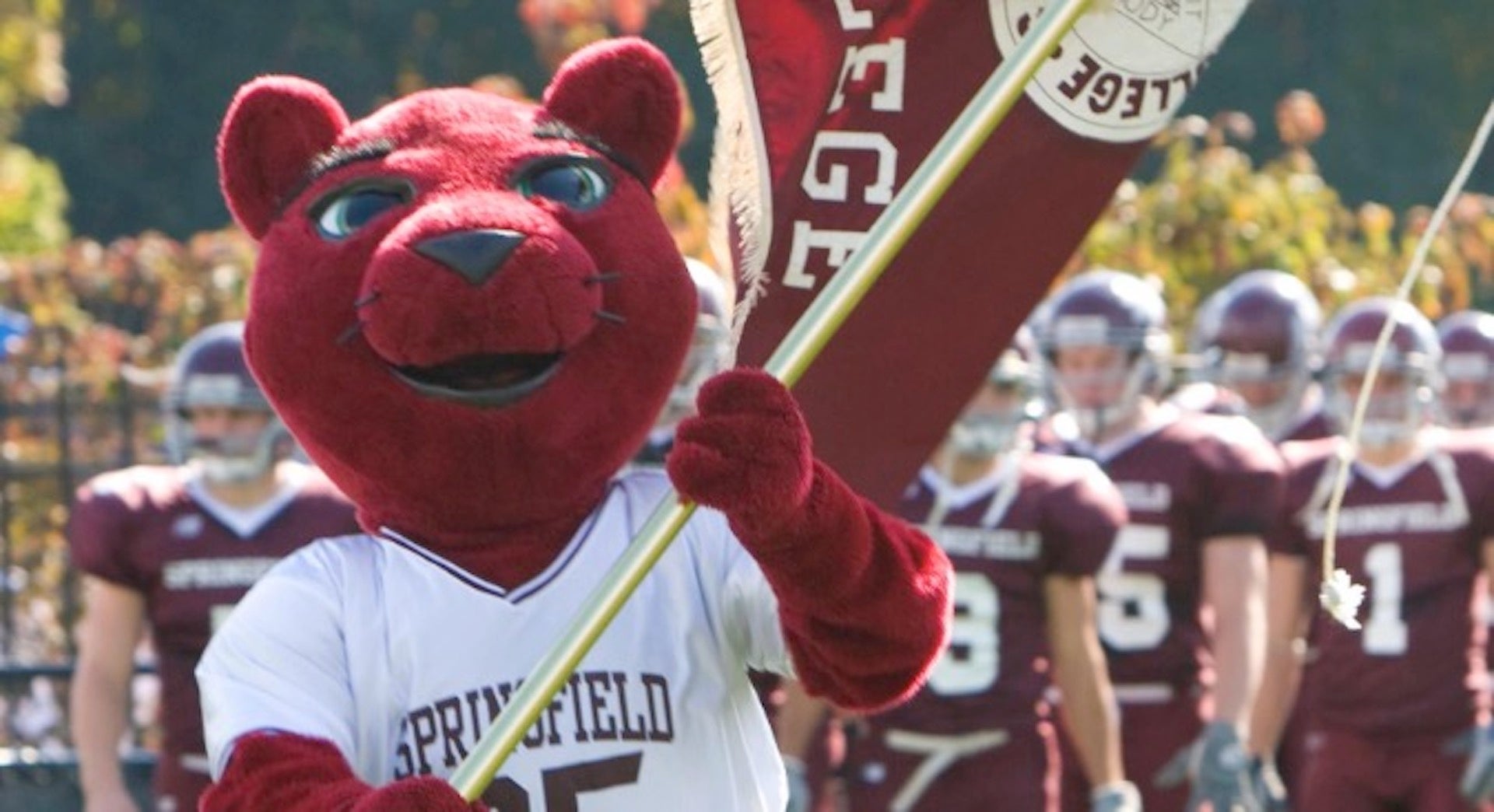 Springfield College mascot, 'Spirit,' hit by dining hall worker, school ...
