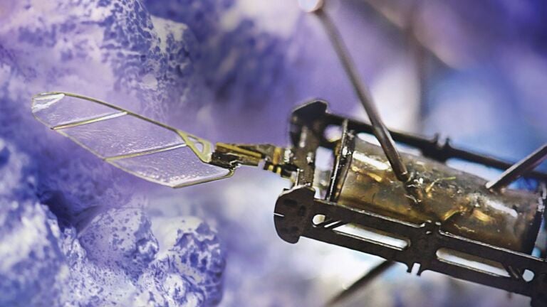 MIT researchers are one step closer to perfecting self-repairing robot bees