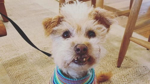 Louis Coleman sentenced to life in prison for kidnapping and death of ...