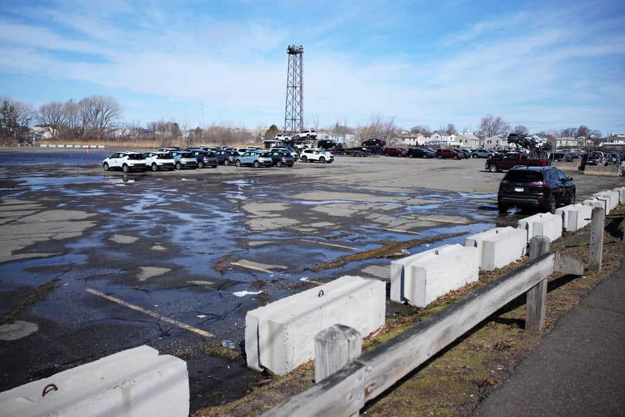 Next stop for Wonderland? A lawsuit and a City Council vote have ...