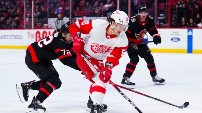 Tyler Bertuzzi: 4 things to know about the new Bruins forward