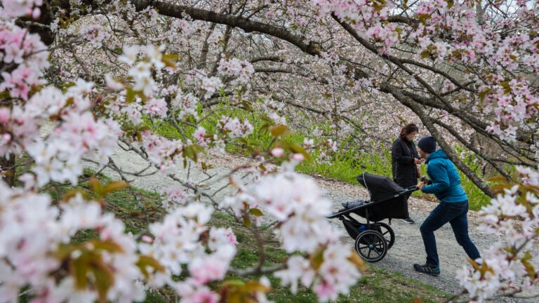 Boston weather: Here's what to expect from Friday's forecast