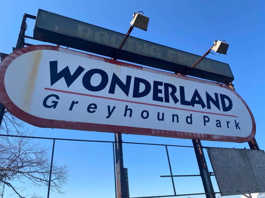 How did Wonderland Station get its name?