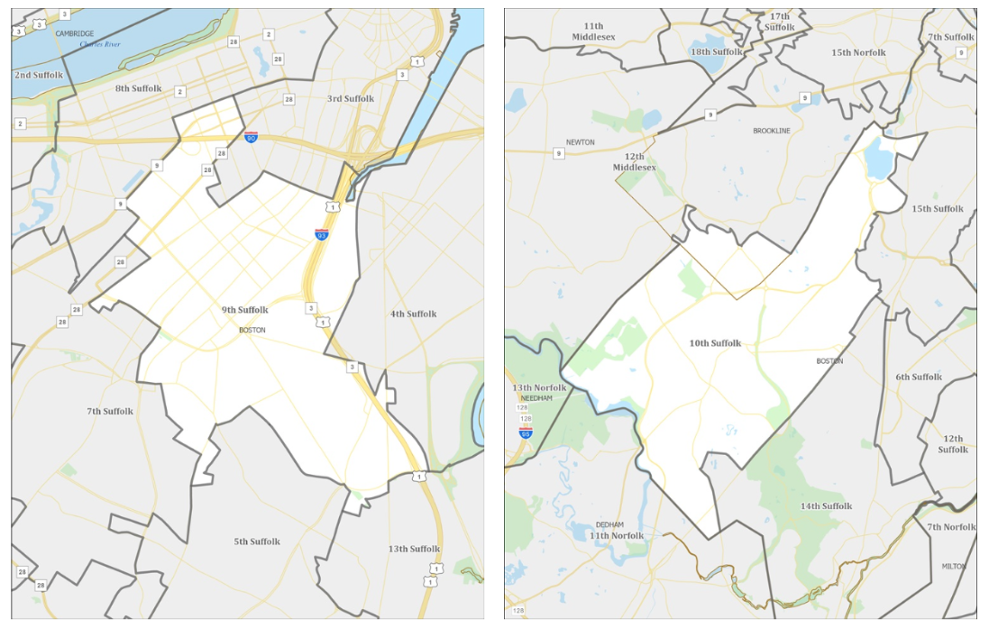 The Suffolk District 9 and 10 special election primaries are Tuesday ...