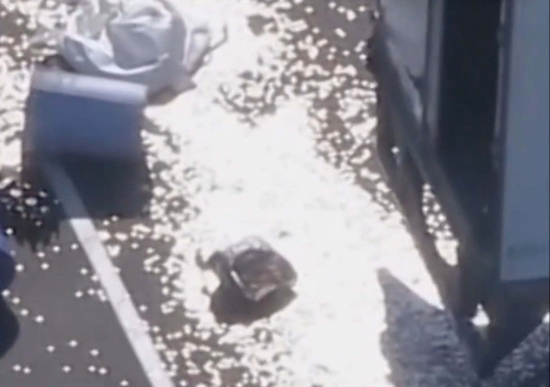 Philadelphia dime heist: Thieves make off with at least $100,000