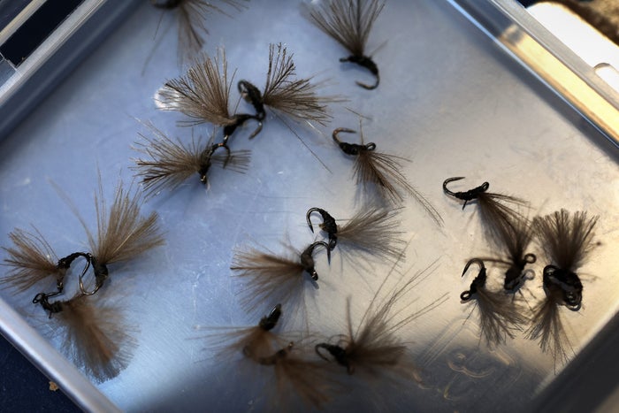 How a tiny Massachusetts river has become a star in the fly-fishing world