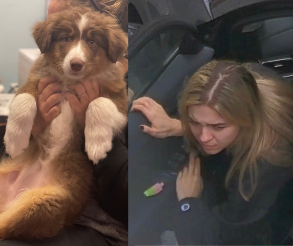 Everything you need to know about the upcoming 'Puppy Doe' trial