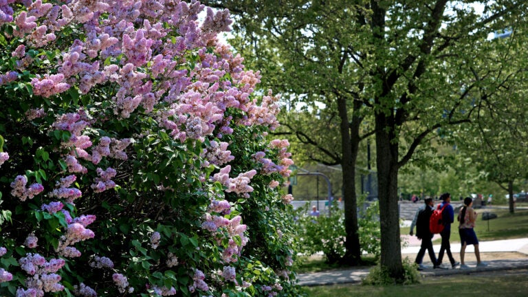 Boston weather: Here's what to expect from Friday's forecast