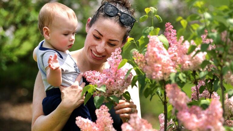 Boston weather: Here's what to expect from Monday's forecast