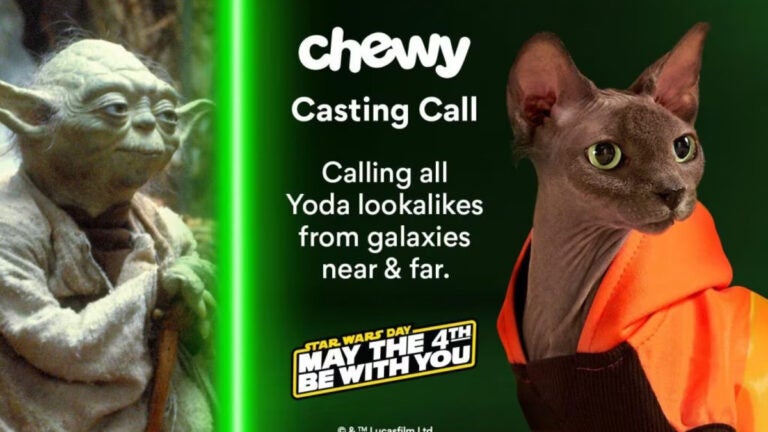 Boston-based Chewy is looking for animals that resemble Yoda