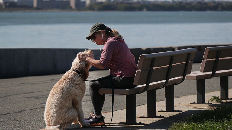 Boston weather: Here's what to expect from Monday's forecast