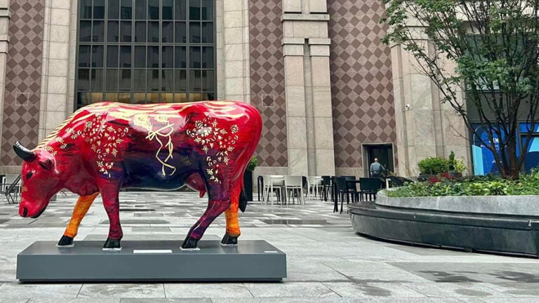 10 free things to do in Boston in September