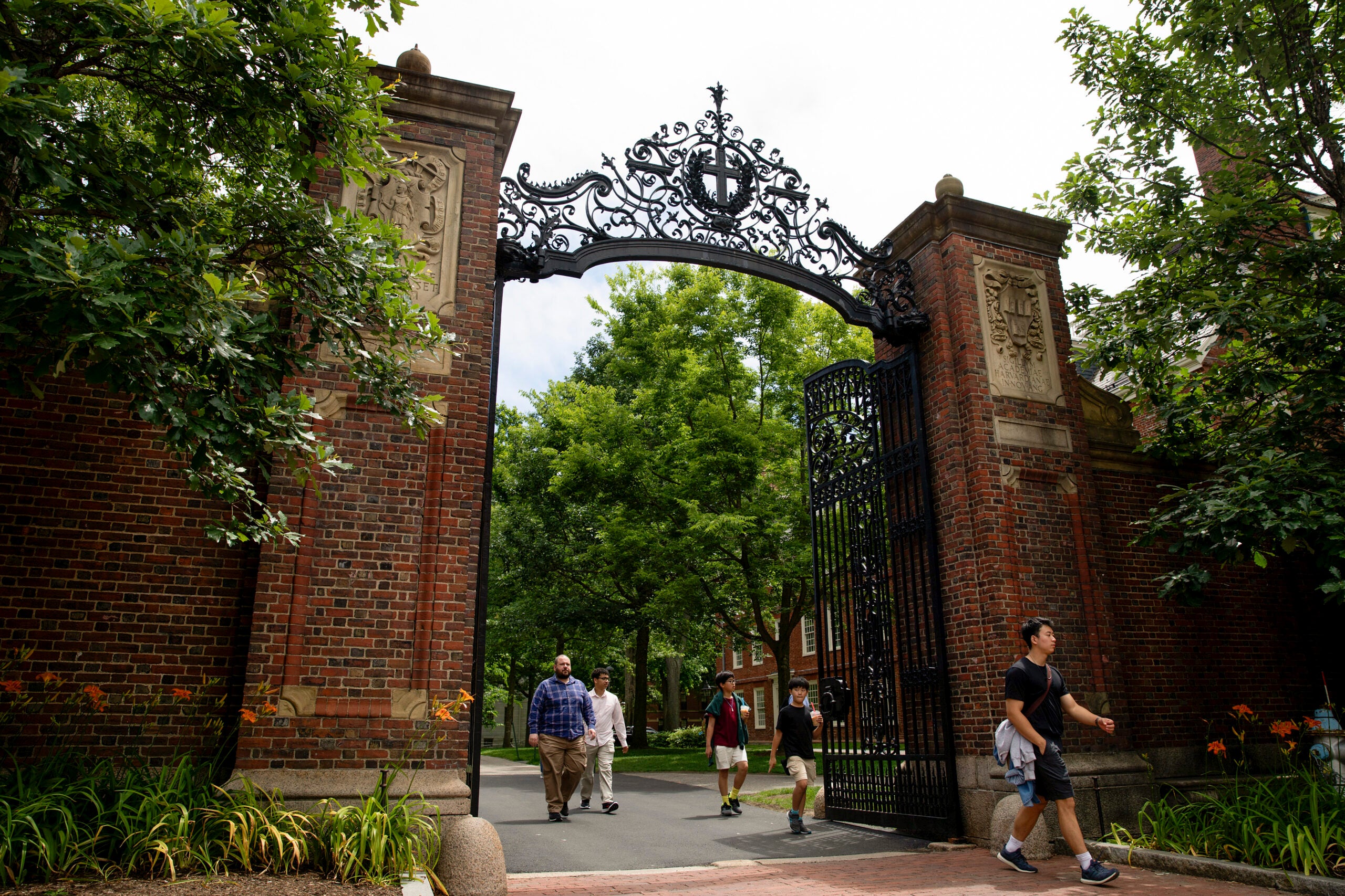 Harvard University | Boston.com
