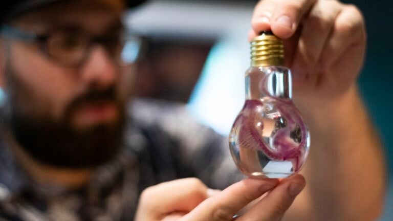 Inside the macabre culture of dealing in human remains