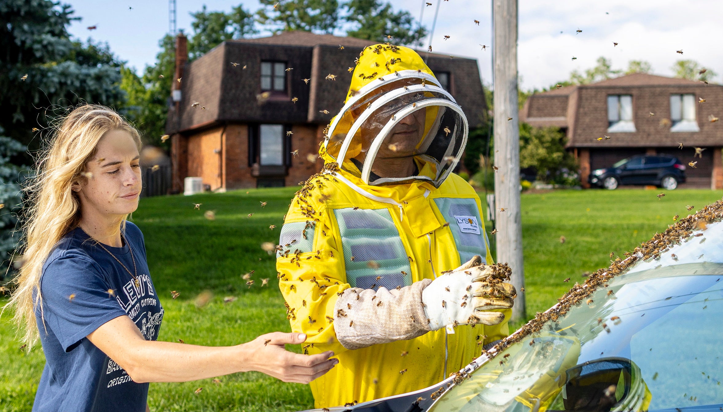 The sad case of the million bees left to die in Shrewsbury