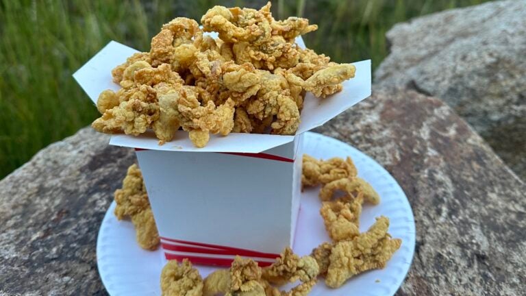 Here are the best places to get fried clams in Massachusetts