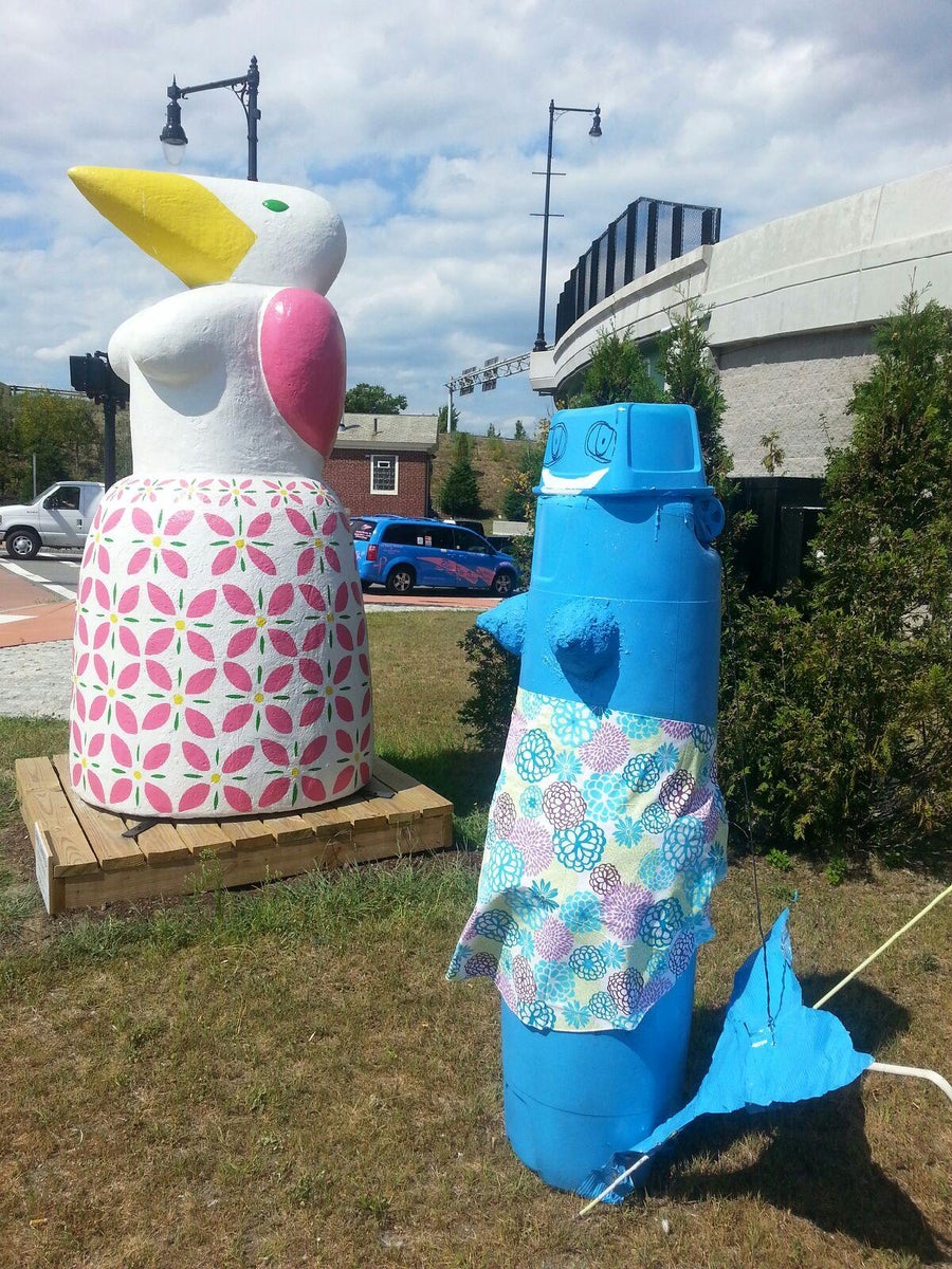 In New Bedford, the ‘sexy seagull’ is ruffling feathers once again
