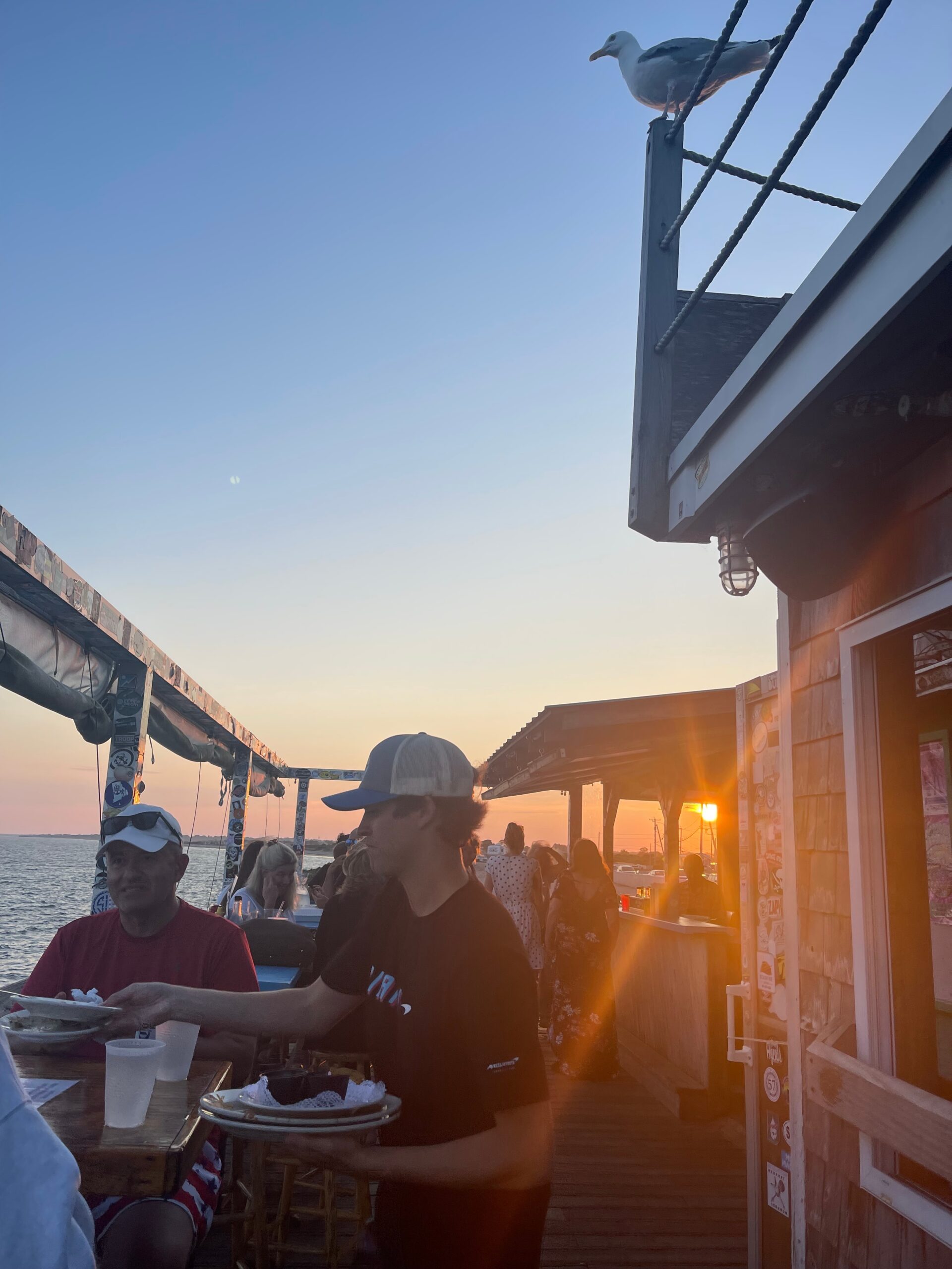 Gulls are stealing food, kids are crying, and restaurants are fighting ...