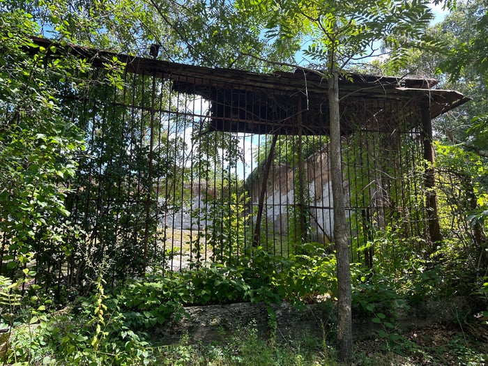 What's the history of the abandoned bear cages in Franklin Park?
