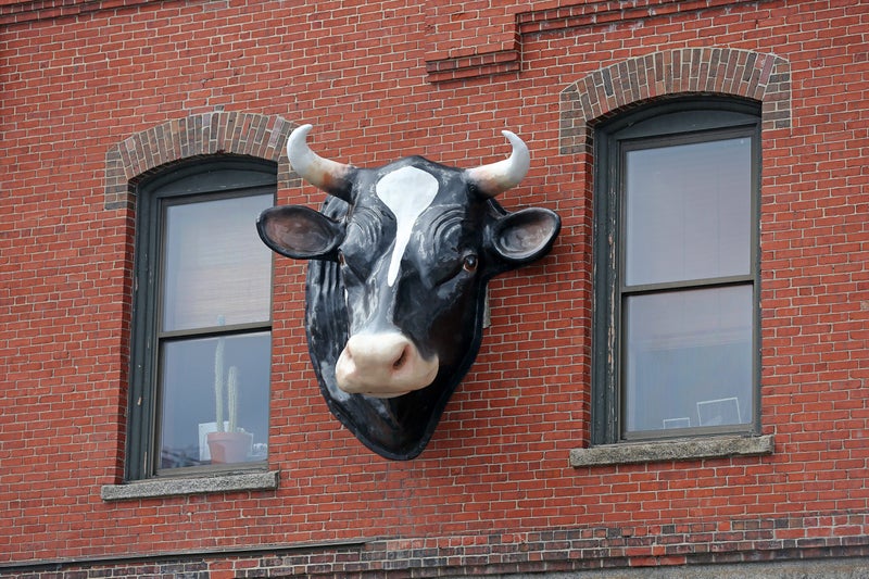 A milkshake is actually a frappe in New England. Here's why.