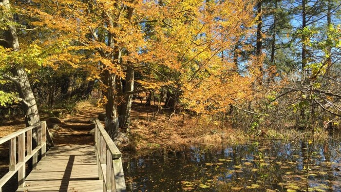 3 beautiful hikes on the North Shore