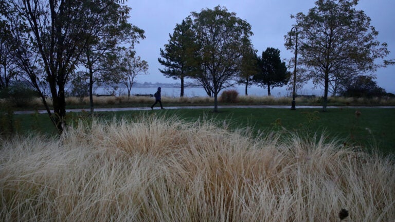 Boston weather: Here's what to expect from Friday's forecast