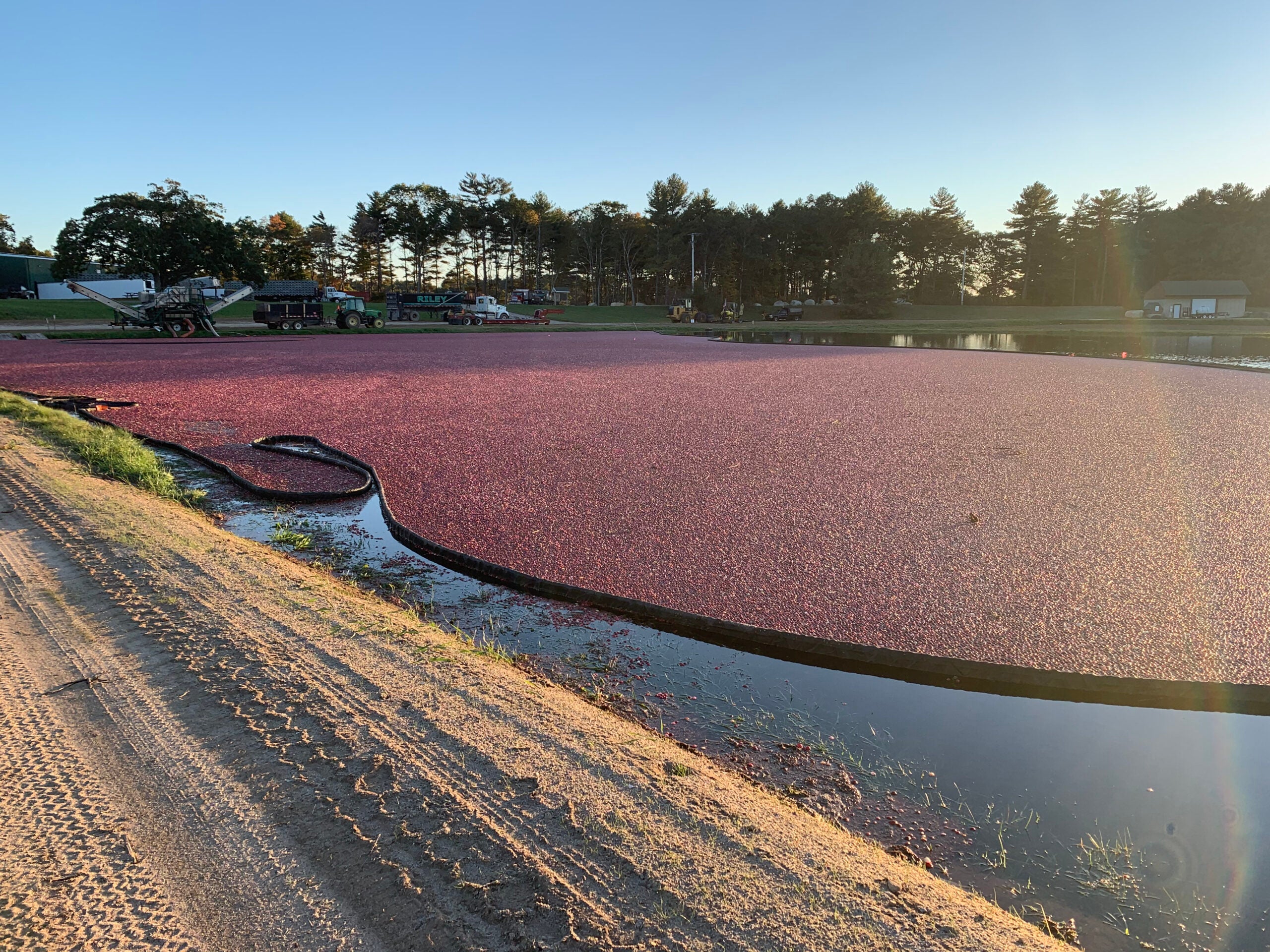Carver firefighters rescue worker stuck in cranberry bog