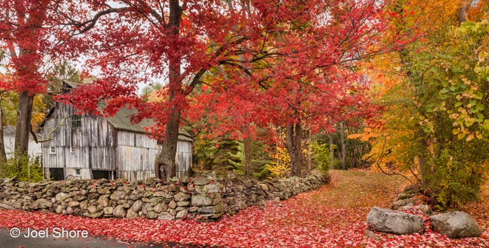 Readers share stunning photos of fall foliage around New England ...