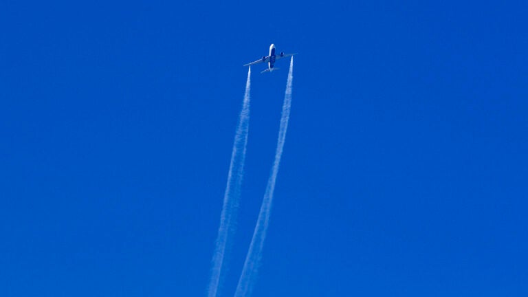 Loose horse on plane forces fuel dump near Martha's Vineyard