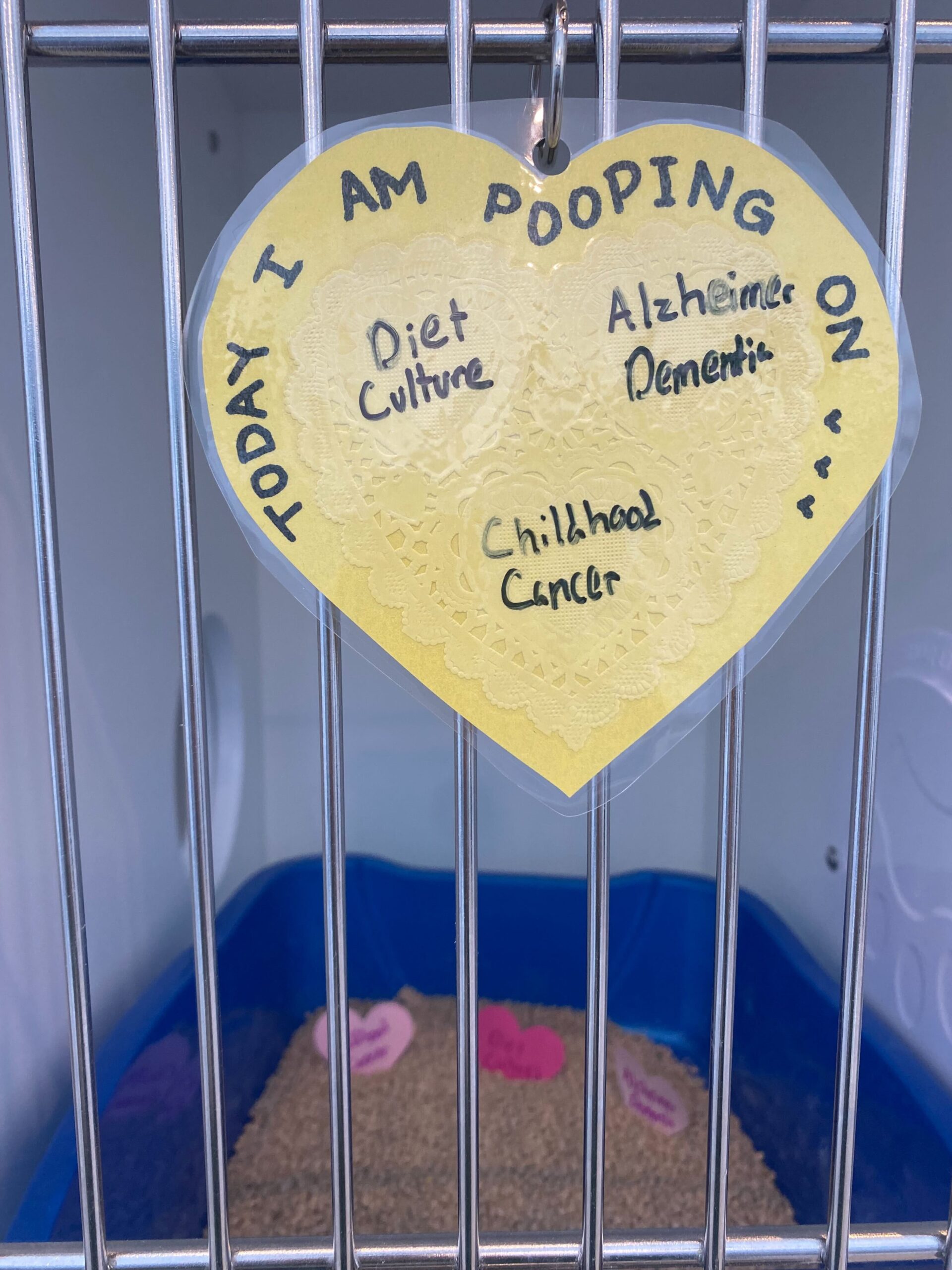 Rhode Island animal shelter offering 'stinky retripootion' for jilted ...