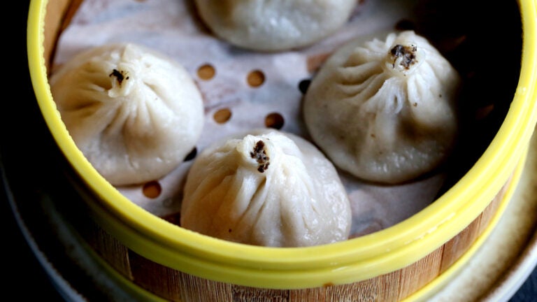 Where do you go for the best dumplings in Greater Boston?