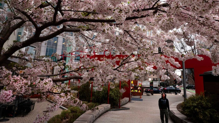 These are Boston's most walkable neighborhoods