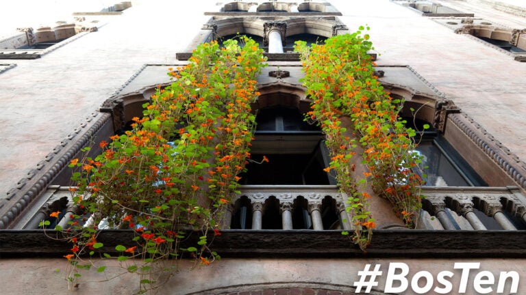 Things to do in Boston this weekend: April 4-8, 2024