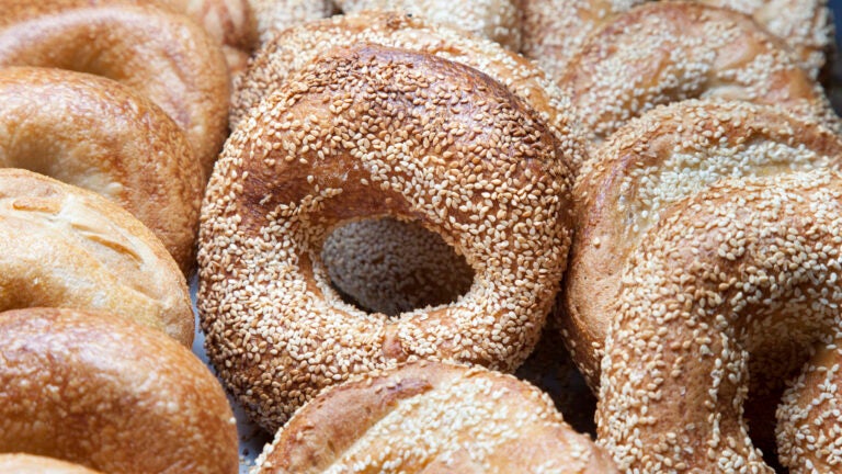 Here’s where to find the best bagels in Greater Boston and beyond ...